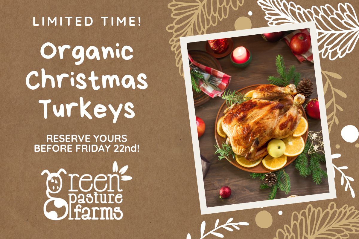 Reserve your Organic Christmas Turkey, This week only! - Green Pasture ...