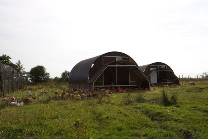 Organic Grass-Fed British Meat - Green Pasture Farms